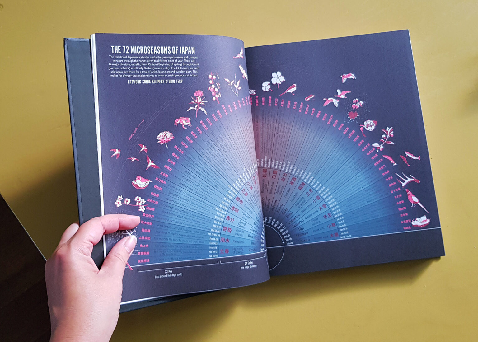 How I created the Japanese seasonal calendar – STUDIO TERP